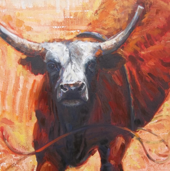 Launched by Susan Bell | Cattle | 30" x 30" | Oil
