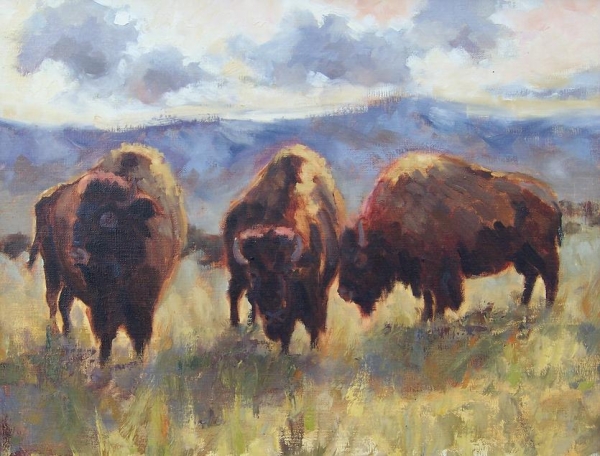 3 Bison Cows by Susan Bell | Wildlife | 11" x 14" | Oil